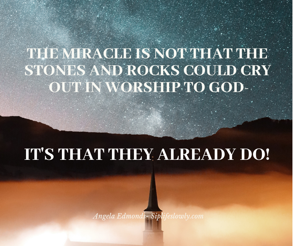 Crying Rocks, Singing Stars – Sip Life Slowly and Enjoy It